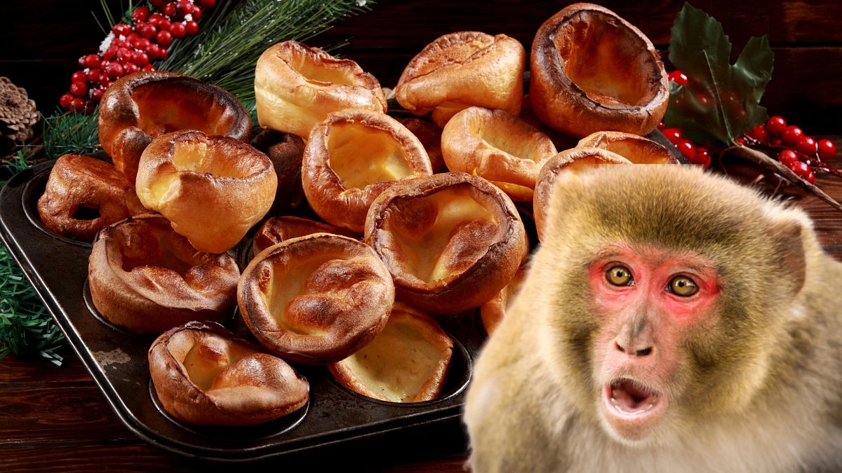 Qu’est-ce que le Yorkshire Pudding ? La pâtisserie qui a déjoué la quête de liberté d'un macaque