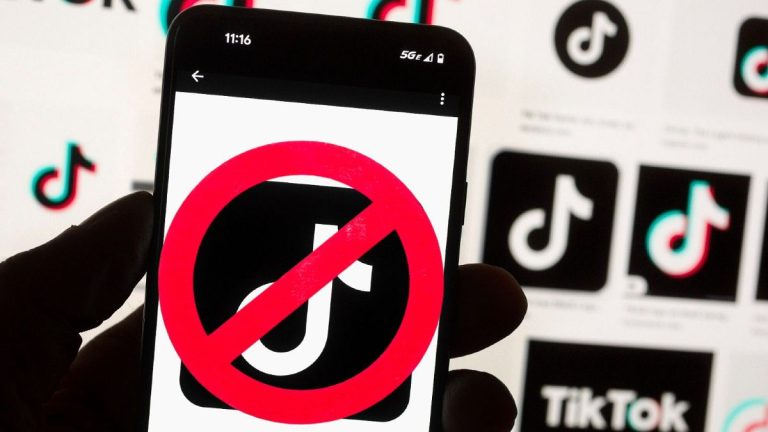 Quels pays ont interdit TikTok et pourquoi